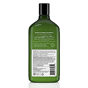 Avalon Organics Conditioner, Smooth Shine Apple Cider Vinegar, 11 Oz (Pack of 6)
