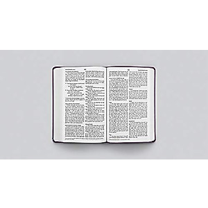 ESV Large Print Value Thinline Bible (TruTone, Lavender, Filigree Design)
