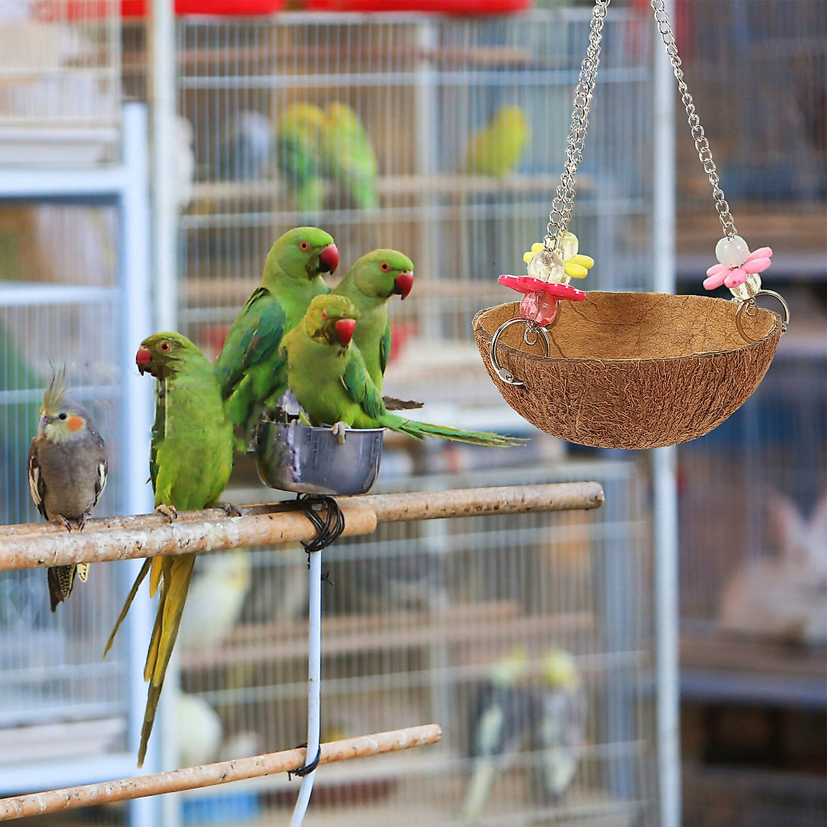 ULTECHNOVO Hammock Swing Natural Coconut Bird Hide Nest Hut House Coconut Shell Breeding Bird Nest Coconut Fiber Hanging Birdhouse Cage Habitats Decor for Pet Parrot Parakeet