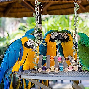 POPETPOP Bird Swing Perch Parrot Cage Hanging Toy Wooden Parrot Toy Wooden Cage Hammock Stands for Parakeets Cockatiels Conures Macaws Finches Accessory