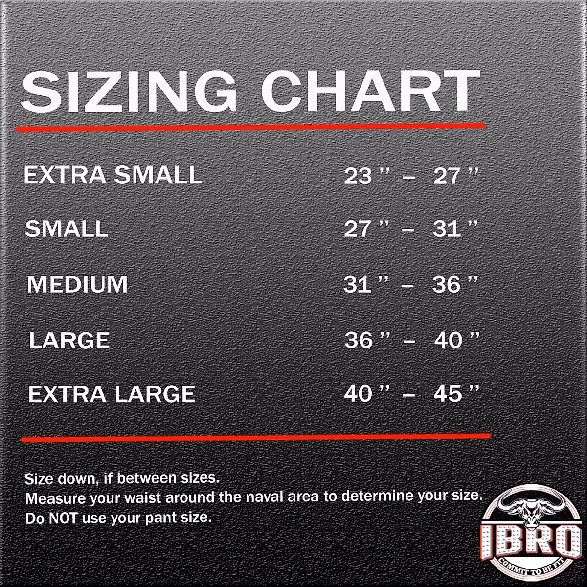 IBRO Quick Locking Premium Weight Lifting Belt - Back Support for Powerlifting, Cross Training & Gym Bodybuilding - 4 Inch Nylon Men and Women with Metal Buckle for Core Stability Silver S