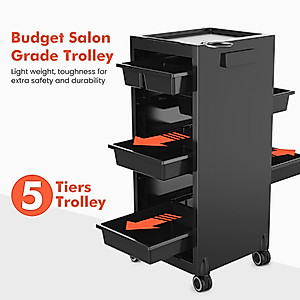 TASALON New Salon Trolley Cart with Wheels for Extra Storage, 5 Drawers & Dryer Holder, Space Saving Salon Cart with Lighter & Strong Material, Multipurpose Beauty Cart, Hair Cart, Tattoo Tray Cart