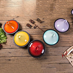 Casserole Dishes with Lids 10.6" Cast Iron Tagine Pot,with Anti-Hot Silicone Gloves Casserole Dishes (#2)