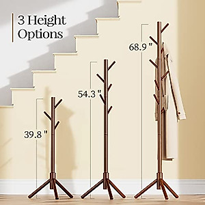 Pipishell Coat Rack and 5 Tier Bookshelf