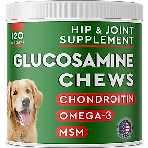 Glucosamine Dog Treats + Fish Oil Omega 3 for Dogs Bundle - Joint Supplement w/Chondroitin, MSM + Allergy Relief - Itch Relief, Shedding - Skin and Coat Supplement with Omega-3 Salmon Oil - Made in US