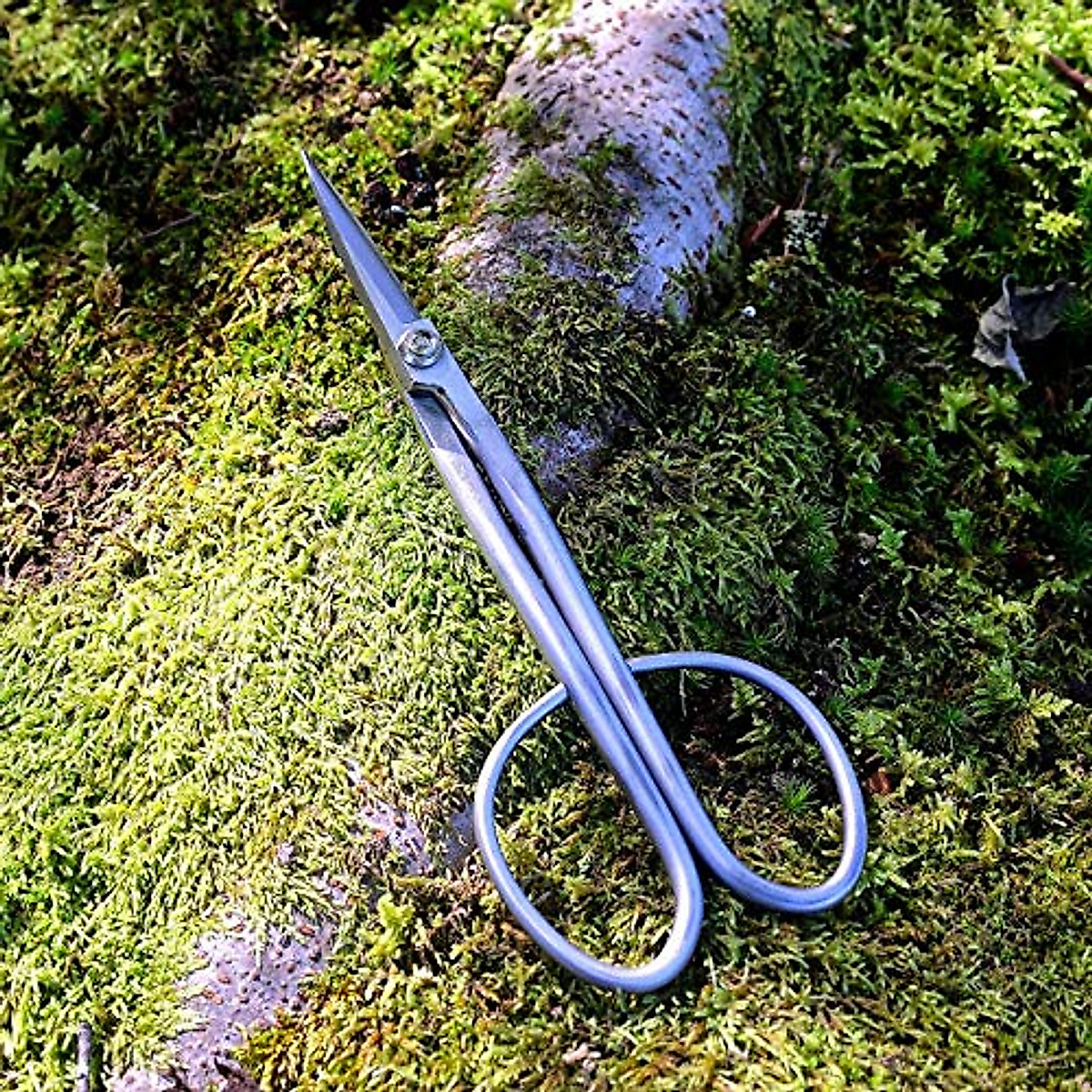 KAKURI Bonsai Twig Scissors 8.2" (210 mm) Professional Bonsai Tool, Japanese Stainless Steel, Silver, Made in JAPAN