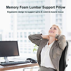Newgam Lumbar Support Pillow/Back Cushion,Memory Foam Orthopedic Backrest with Breathable 3D Mesh for Car Seat,Office/Computer Chair,Wheelchair and Recliner,Ergonomic Design for Back Pain Relief-Black