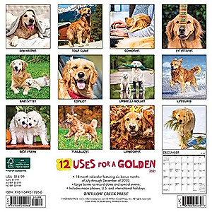 12 Uses for a Golden 2021 Wall Calendar (Dog Breed Calendar)