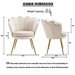 WQSLHX White Velvet Accent Chair Set of 2 for Living Room, Armchair Modern Accent Chair Vanity Chair for Bedroom, Comfy Arm Chair with Lumbar Pillow and Golden Metal Legs