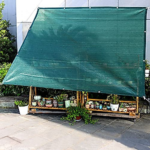 75% Shade Cloth for Plants 2 Ft × 3.3 Ft Greenhouse Shade Cloth for Protect Vegetable Plants Fruits Flowers Crops - Green