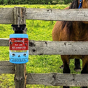 Reusable Trap Fly Jar by Catchmaster - 6 Count, Ready to Use Outdoors. Flying Insect BugTrap, Water Soluble Attract Attractant Scent. Blowfly Trap Captures Hundreds of Common Flies - Made in The USA