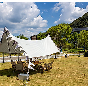 ALMOXVYE 20 Pack Tent Stakes, 10 Inch Heavy Duty Tent Camping Stakes, Galvanized Non-Rust Tent Pegs for Pop Up Canopy, Ground, Garden