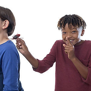 Robo Alive Crawling Cockroach Glow in The Dark (2 Pack) by ZURU Battery-Powered Robotic Interactive Electronic Cockroach Toy That Moves and Crawls, Prankst Toys for Boys, Kids, Teens