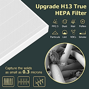 Improvedhand 115115 Filter A Replacement Compatible with Winix PlasmaWave Air Puri-fier C535 5300 5300-2 6300 6300-2 5000 5000b 9000 C909 AM90, 6 Pc H13 True High Efficiency Filters