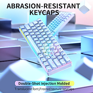 Punkston TH61 60% Mechanical Gaming Keyboard,RGB Backlit Wired Ultra-Compact Mini Mechanical Keyboard Full Keys Programmable White (Optical Black Switch)