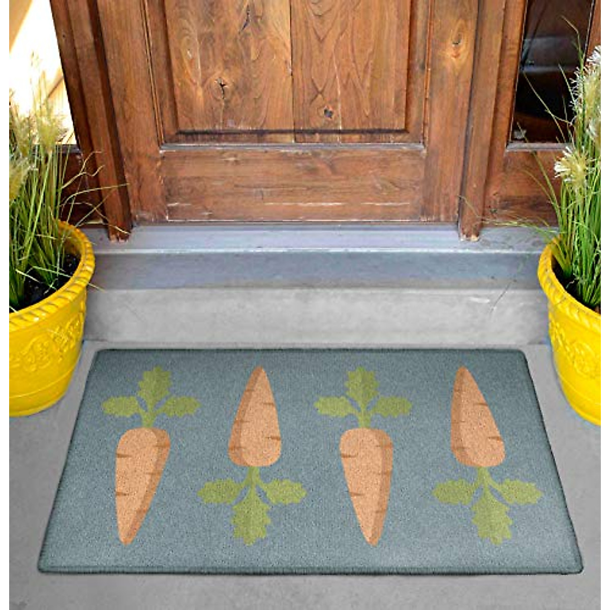 Brumlow MILLS Spring Carrots Easter Print Indoor or Outdoor Area Rug for Living Room, Bedroom Carpet, Dining, Kitchen or Entryway Rug, 30" x 46"