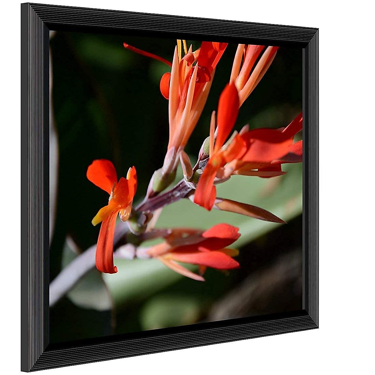 Uzifa 11x14 Picture Frame Photo Poster Frame Picture Frames 11x14- Safety high transparent PC sheet NON GLASS without Mat for Display Certificate as Wall Mount Frame V21114G – BLACK