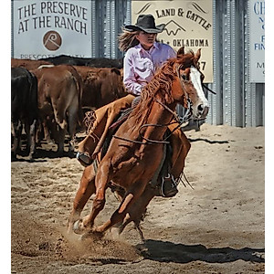 DOUBLE ACTION (Cooling and Warming Effect) Liniment Gel for Sore Muscles and Joints made with Camphor and Menthol for Horses. Effective Post Workout Recovery and Pre-Workout Leg and Spinal Care Rub