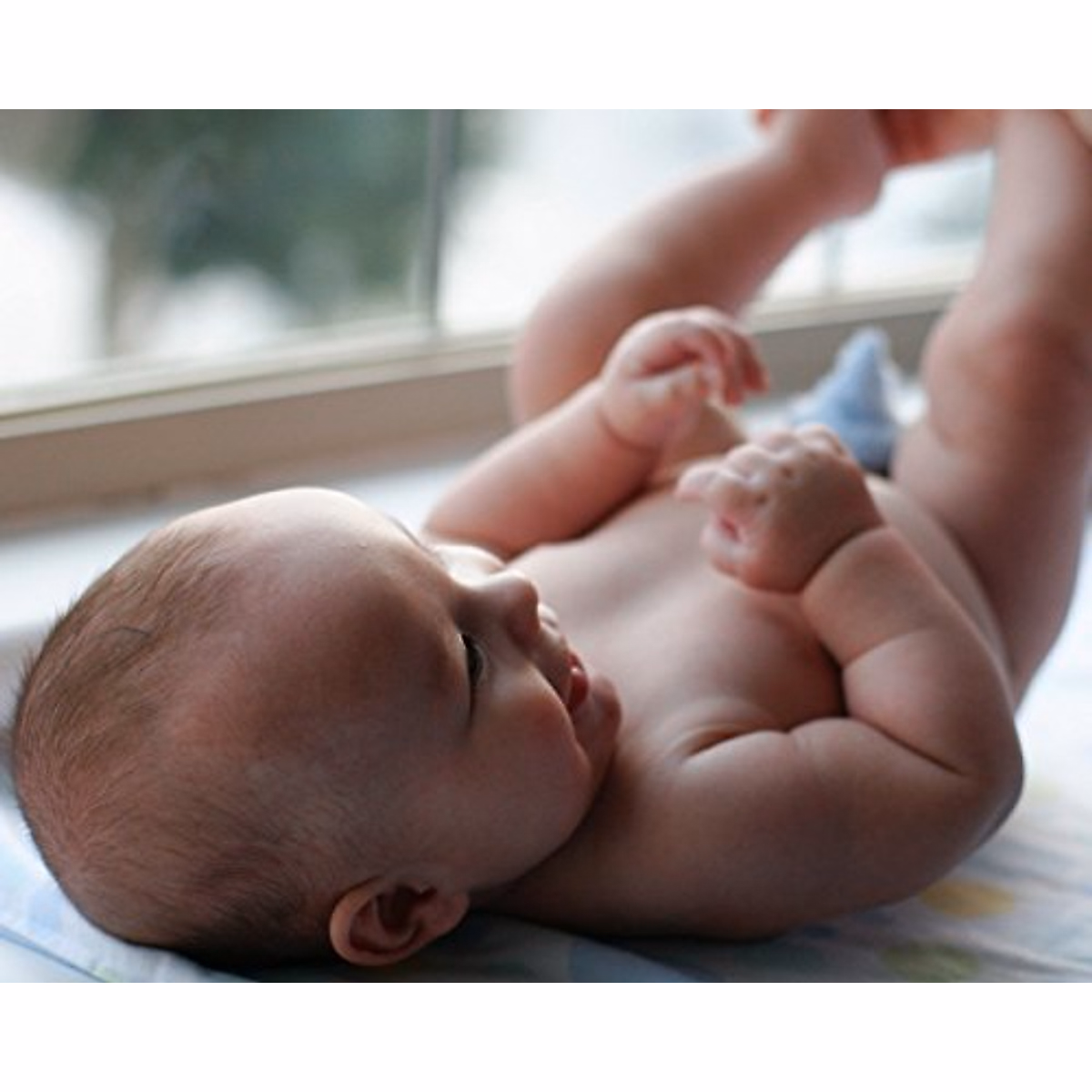 Beba Bean Pee pee Teepee Jungle Green Laundry Bag, white,green,multicolor