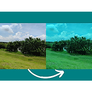 ASVP Shop The Original Twilight Blue Filter Key Chain