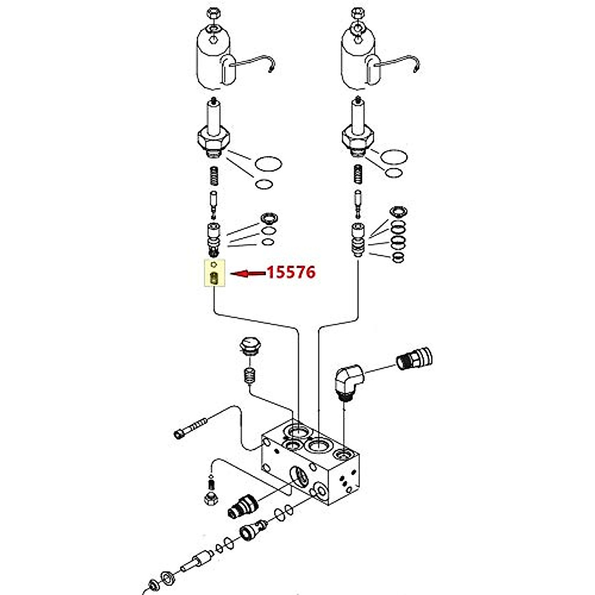 Professional Parts Warehouse 15576 Meyer B Check Valve Kit - OEM