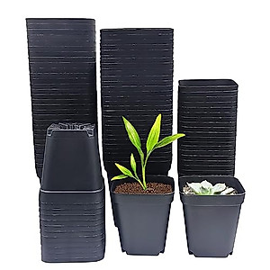 RooTrimmer Black 90-Pack 3.54 X 3.54 inches Square Nursery Seedling Flower Pot Plastic Thick Seed Start Germination Pot for Plant Propagation and Seeding,Sturdy Suit for 1020 Trays
