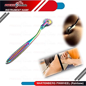 PRECISE CANADA PC WARTENBERG Stainless Steel Sensation Pinwheel (Rainbow)