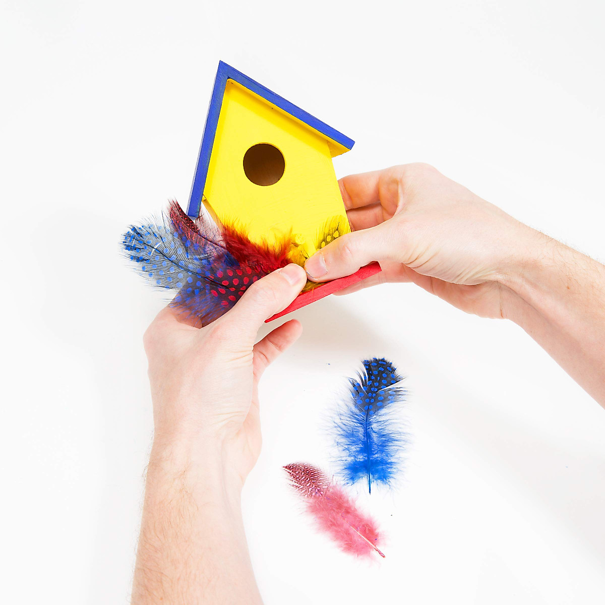 Surprise Ride Paint a Birdhouse Activity Kit STEM Learning