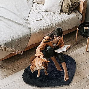 Heart Rugs for Home Decor, Heart Shaped Faux Fur Rug, Faux Sheepskin Rug, Black Shag Fluffy Area Rugs, Accent Carpets for Bedroom Living Room, Love Coquette Room Decoration 2 x 3 Feet Plush Mat