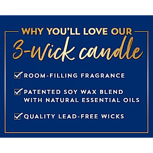 Bath & Body Works, White Barn 3-Wick Candle w/Essential Oils - 14.5 oz - 2022 Spring Scents! (Dark Amber & Oud)