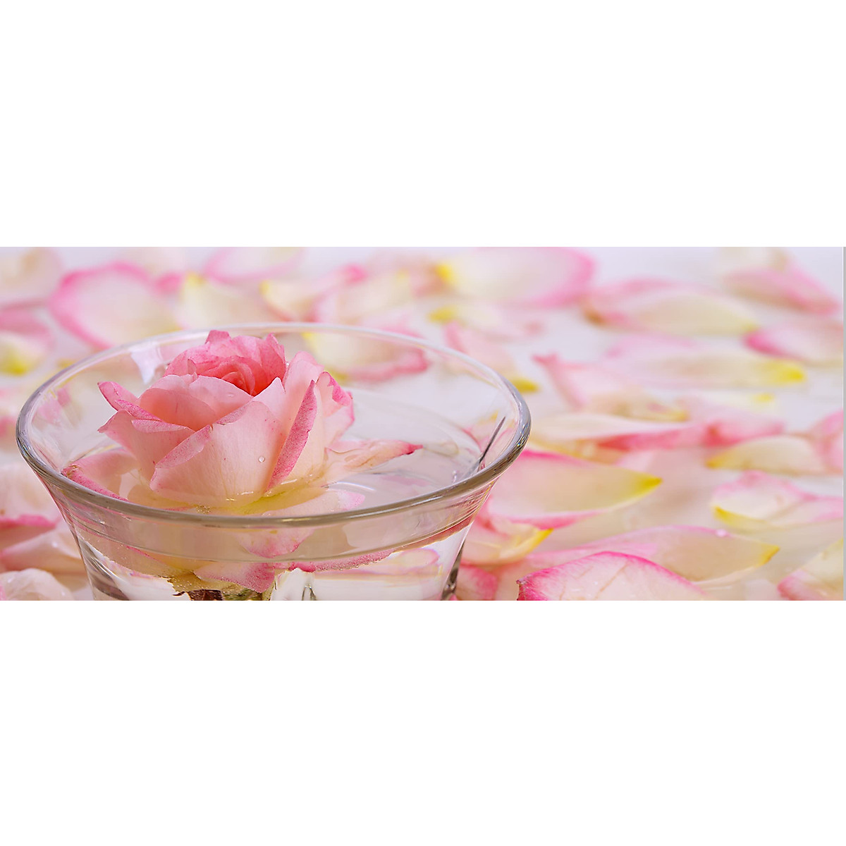 Rose Hydrosol Water Spray Toner 32 oz for Face Hydrating Mist Hydration Pure & Natural Rosewater Hydrosol All Skin Types Face Skin Pores Body Locs Cleansing Bulk Refill COCOJOJO - Packaging May Vary