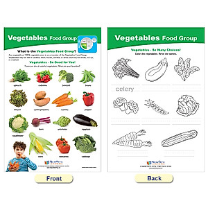NewPath MyPlate - Food & Nutrition Bulletin Board Charts, Gr 1-4, Set/8 - Laminated, Double-Sided, Full-Color, 12" x 18" (94-1120)