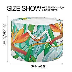 Kigai Cotton Rope Basket Birds Of Paradise Flower Collapsible Baby Laundry Basket with handles Blanket Basket Kids Toy Storage Basket for Shelf Organizer Home Decor