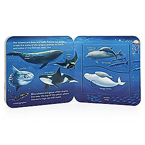 Peek-a-Flap Ocean Children's Lift-a-Flap Board Book for Children Learning about the Sea and Water Animals, Ages 2-5