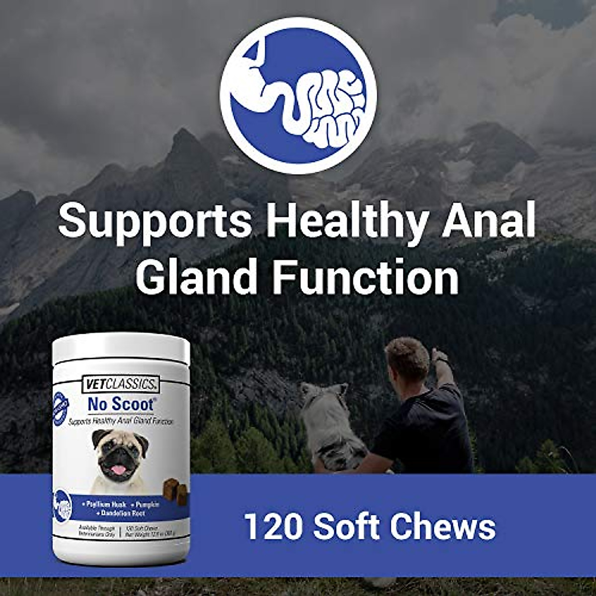 Vet Classics No Scoot Dog Supplements for Healthy Anal Gland Function – Support Normal Bowel Functions, Anal Glands – Increases Daily Fiber Intake for Dogs – 120 Soft Chews