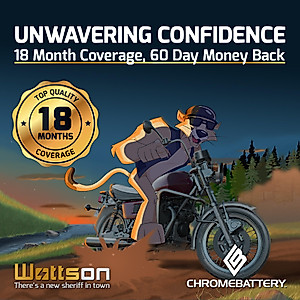 Chrome Battery 12V 12AH Maintenance-Free Battery for Alarm Systems, Scooters, Toys, Emergency Lights, and More - Nut and Bolt (T3) Terminal 2 Pack