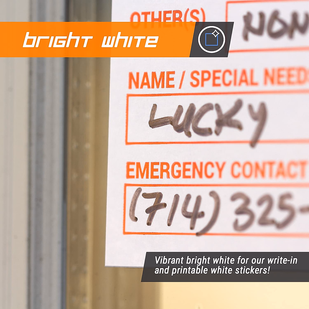 900 May Increase Thirst and Urination Sticker Labels, 0.38 x 1.63 Inch Medication Prescription Medical Chart File Folder Label Veterinary Pharmacy Rx Vet Instruction Stickers - 3 Packs of 300 Labels