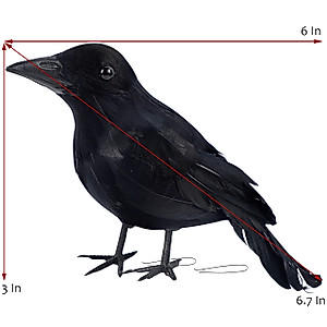 ATDAWN Halloween Birds, Black Feathered Crows, Realistic Looking Halloween Decoration Birds (6.7")