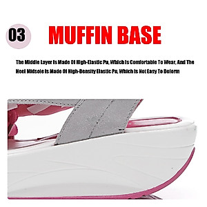 Lymphvity Women'S Contrast Paneled Cutout Lace-Up Muffin Sandals,Summer Sports Leisure Mesh Peep Toe Wedges Sandals (8,black)