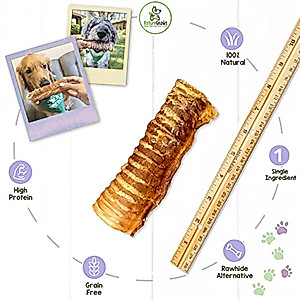 Nature Gnaws Beef Trachea for Dogs - Premium Natural Beef Bones - Simple Single Ingredient Crunchy Dog Chew Treats - Rawhide Free 6 Count (Pack of 1)