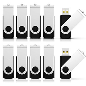 RAOYI 50 Pack 4GB USB Flash Drive, USB 2.0 Memory Stick Bulk Thumb Drives Pen Drive Zip Drive Bundle-Black