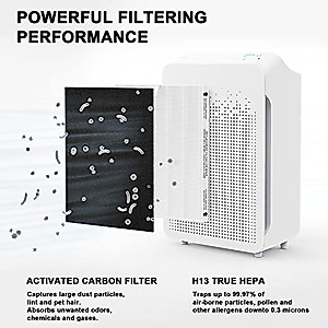 GoKBNY C545 True HEPA Replacement Filter Compatible with Winix C545, True HPEA Filter S, Part Number 1712-0096-00, 3×HEPA Filters + 6×Activated Carbon Pre-Filters