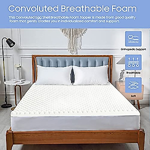 Greaton Breathable 1-inch Convoluted Egg Shell Foam Mattress Topper | Toppers for Mattresses Adds Ultimate Comfort, Reduces Back Pain, Perfect Body Support, Maintain Proper Posture, Twin, White