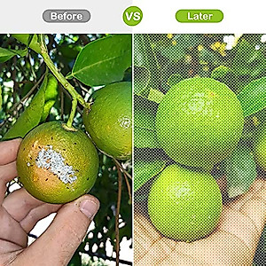 2 Pcs Insect Bird Barrier Netting Bag with Drawstring 2.6 x 3.3ft Garden Netting Bugs Plant Cover for Protect Tomato Blueberry Fruits Flower from Insect Bird Eating