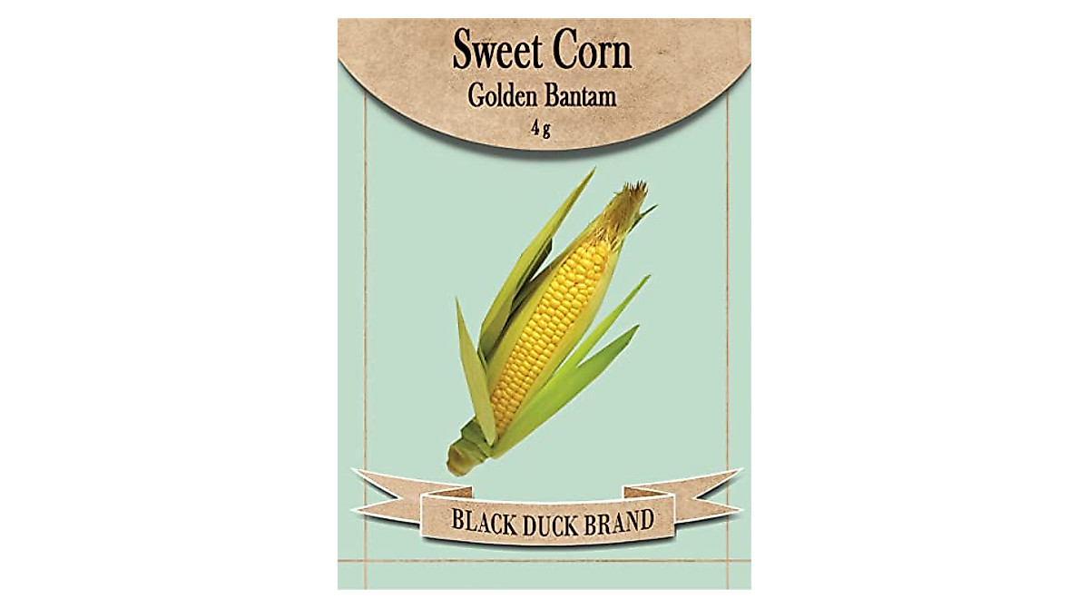 Set of 12 Sweet Corn- Golden Bantam Vegetable Seed Packs - Create a ...