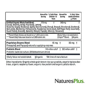 Natures Plus Source of Life Garden Certified Organic Family Chewable Multivitamin - 60 Vegan Chewables - Mixed Berry Flavor - for Adults & Children - Vegetarian, Gluten-Free - 30-60 Servings