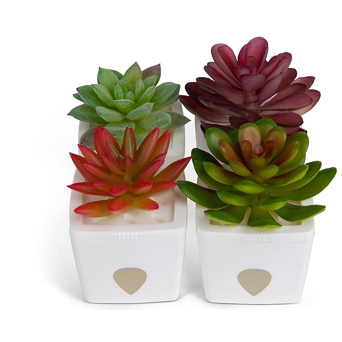 ZendoZones Fruit Fly Traps, 12 Pack Assorted with White Base, Refillable and Reusable, Discreet and Effective
