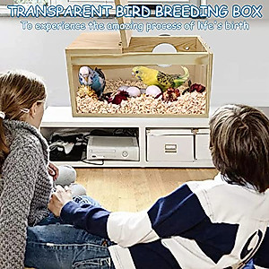 BNOSDM Parakeet Nesting Box Transparent Bird Nest Breeding Box with Perch Wood Bird House for Cage Cockatiel Budgie Lovebirds Conure Finch Parrot Small to Medium Birds (L)