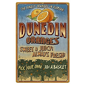 Lantern Press 6x9 Inch Wood Sign, Ready to Hang Wall Decor, Dunedin, Florida, Orange Grove, Vintage Sign