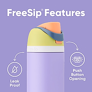 Owala FreeSip Insulated Stainless Steel Water Bottle with Straw, BPA-Free Sports Water Bottle, Great for Travel, 32 Oz, Grayt